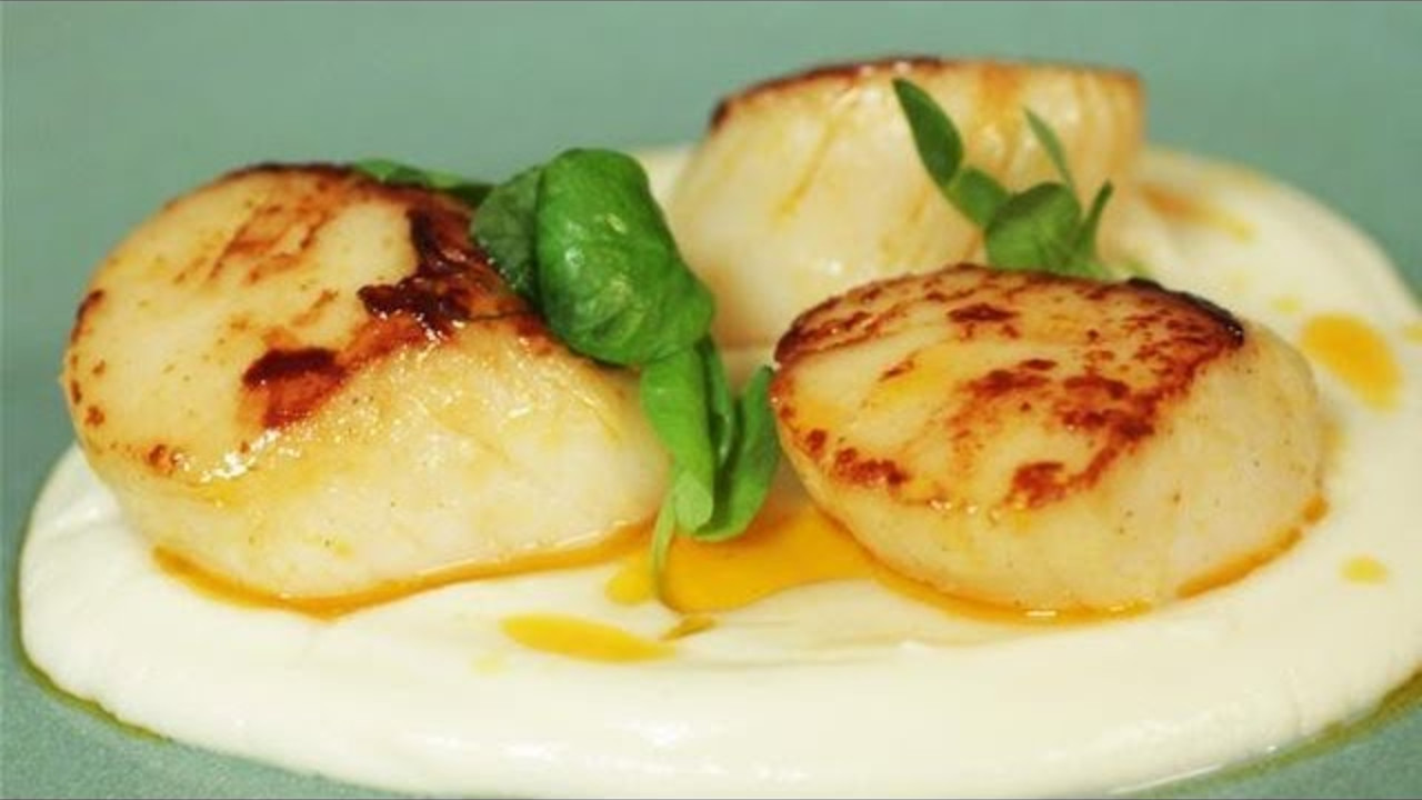 Seared Scallops with Chorizo Butter, Cauliflower Puree and Pea Shoots ...