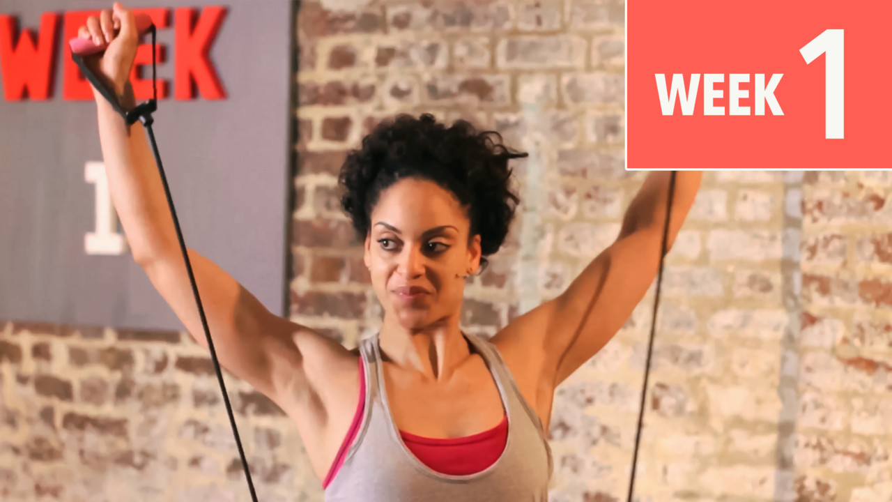 Upper Body #1 - Planks, Bicep Curls, & Leg Drops - Fitness and Exercise ...