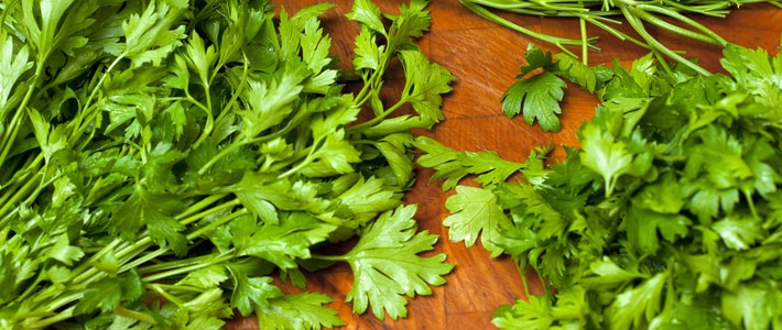 6 Spanish Recipes with Parsley | Grokker