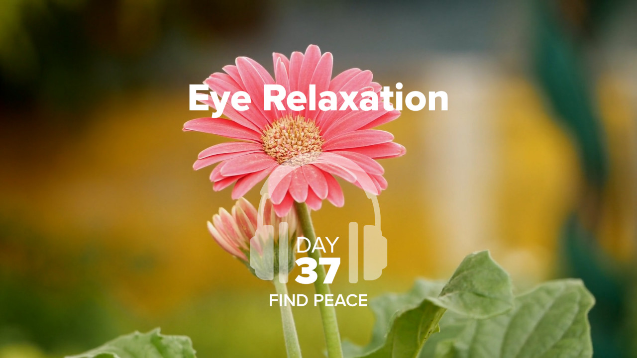 Eye Relaxation - Find Peace - Day 37 - Meditation, Mindfulness, and ...