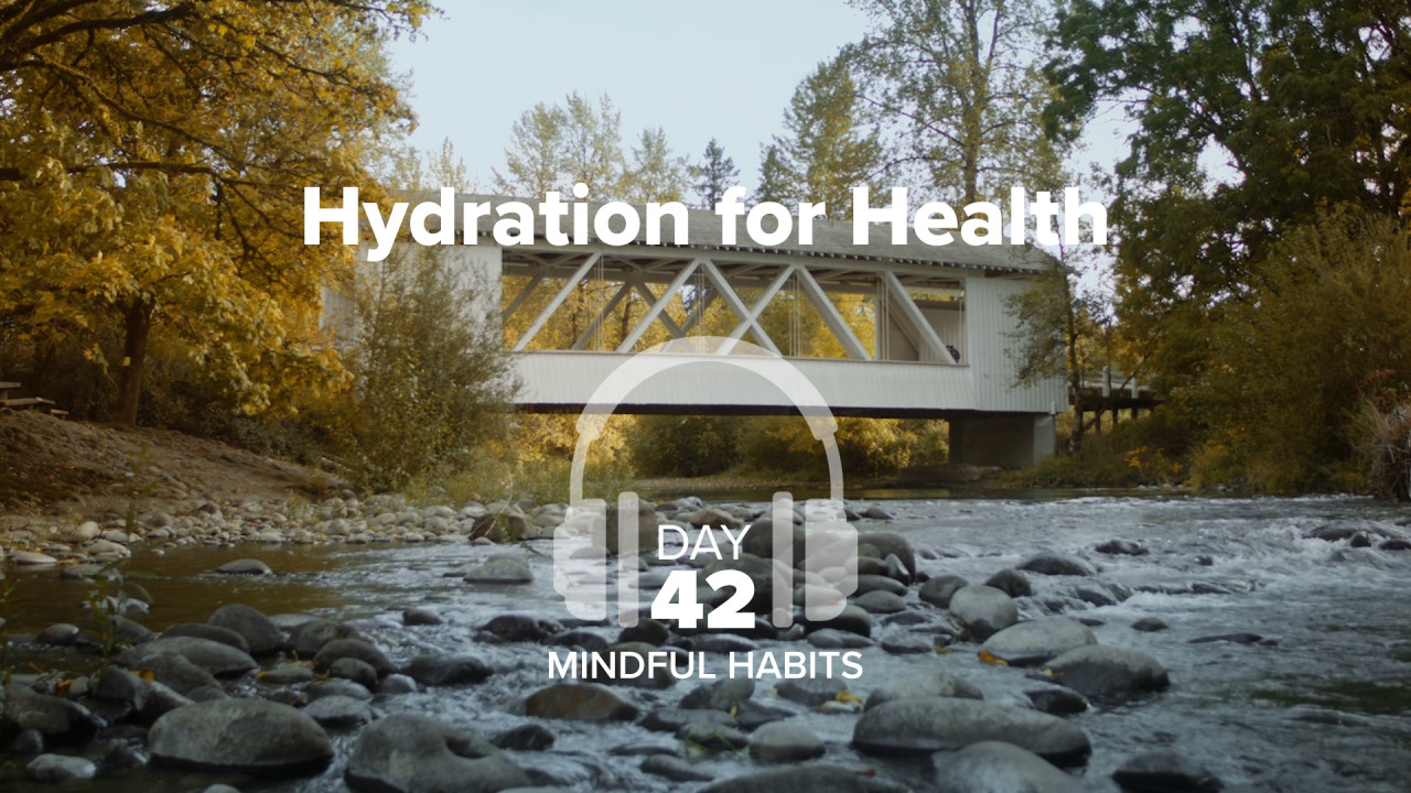 Hydration for Health - Mindful Habits - Day 42 - Meditation ...
