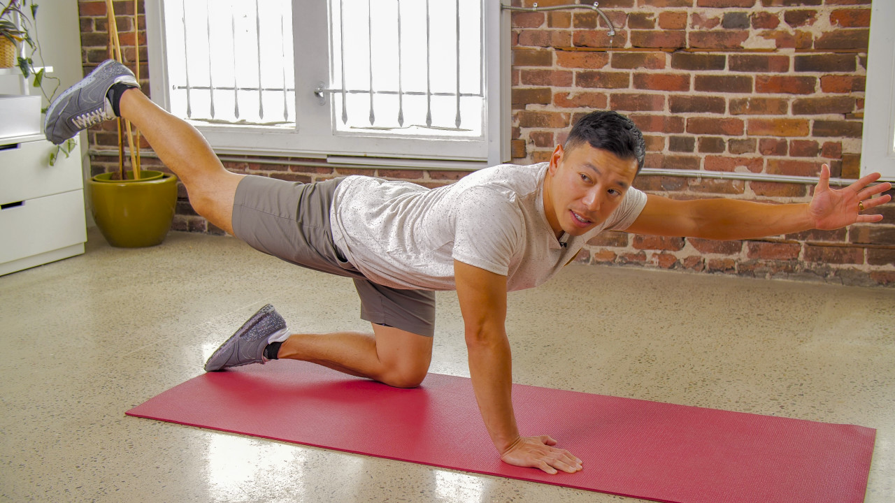 Bird Dog Elbow Touch - Day 4 - Fitness and Exercise Videos | Grokker